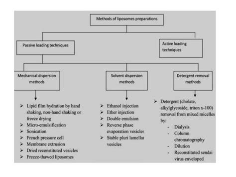 Preparation Of Liposomes Methods Pptx