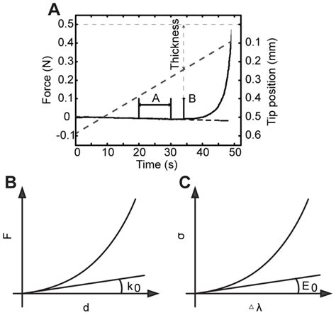 summary of procedures for measuring and calculating hyperelastic skin