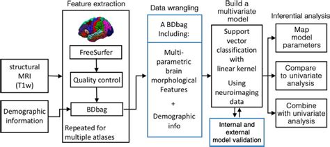 Neuroanatomical Morphometric Characterization Of Sex Differences In