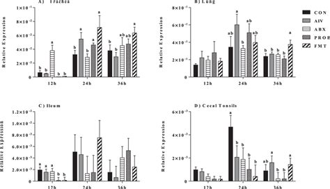 Relative Expression Of Ifn α In The Trachea Lung Ileum And Cecal