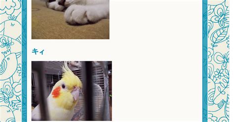 かわいいのは
