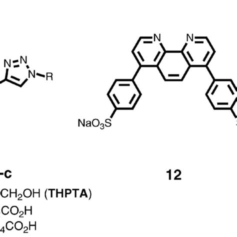 Pdf Copper Catalyzed Azidealkyne Cycloaddition Cuaac And Beyond New Reactivity Of Copperi