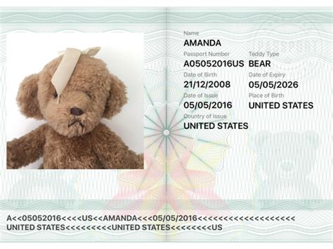 Toy Passport Template Free Free Templates Printable