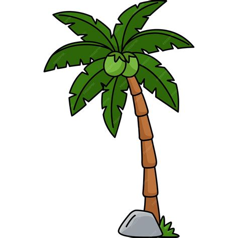 Premium Vector This Cartoon Clipart Shows A Coconut Tree Illustration
