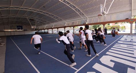 Instituto D Amicis S C
