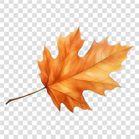 Autumn Maple Leaf Illustration Premium Ai Generated Psd