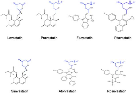 Chemical Structure Of Hydrophilic And Lipophilic Statins Download