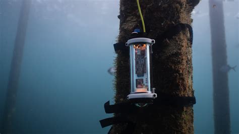 Underwater Sensor Takes Single Pair Ethernet For A Dip Hackaday