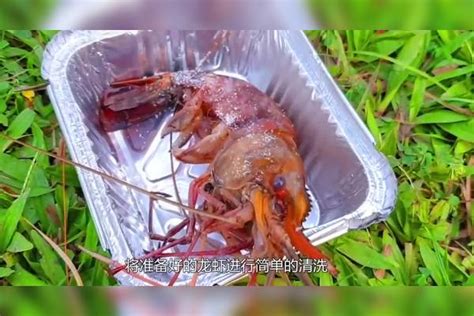 火柴可以烤熟龙虾吗？老外亲自动手实验，看到最后结果有点意外！亲自动手实验老外