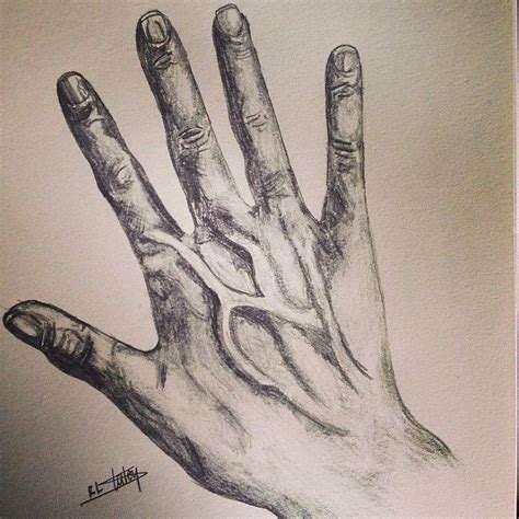 Veins Drawing At Getdrawings Free Download