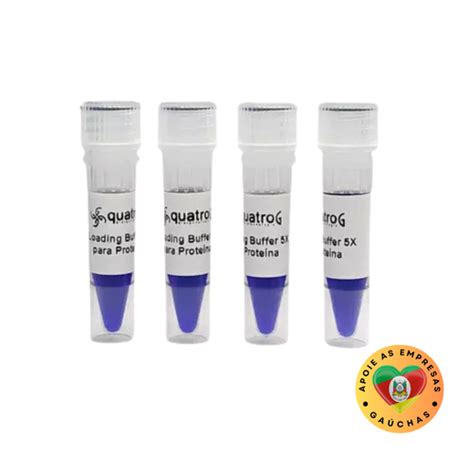 Loading Buffer X para Proteína Quatro G Biotecnologia