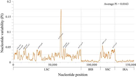 Nucleotide Variability Pi Values Among Chloroplast Genomes Of Six Download Scientific Diagram