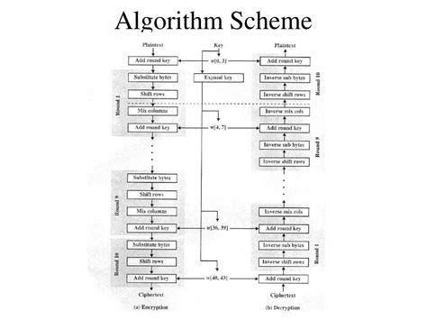 Ppt Algorithm Scheme Powerpoint Presentation Free Download Id819250
