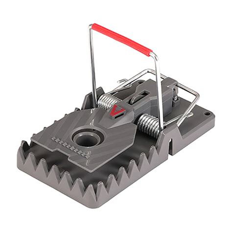 Victor Power Kill Rat Trap 12 Count Case Siteone Us