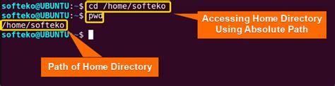 What Is Directory In Linux A Complete Overview LinuxSimply