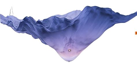 Understanding Multi Headed Yolo V9 For Object Detection And Segmentation By Shreyas Dixit Medium