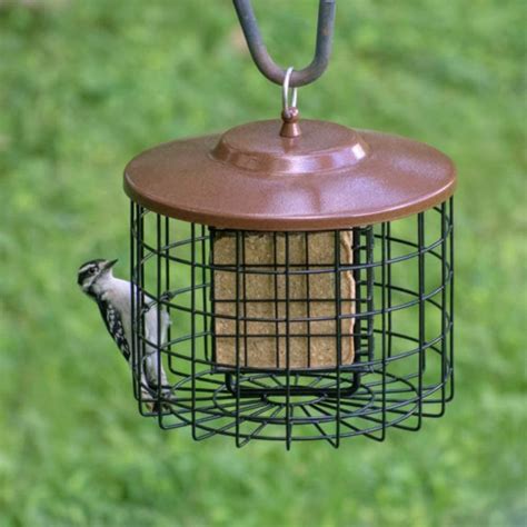 More Birds Squirrel X Double Suet Feeder Outdoor Wild Bird Feeder