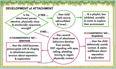 Attachment Intro Part 1 Heal And Grow For Acoas