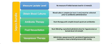 The Surviving Sepsis Campaign Bundle 8 Recommends The Hour 1 Bundle