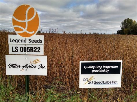 20 20 Seed Labs Inc 2020seedlabs Twitter