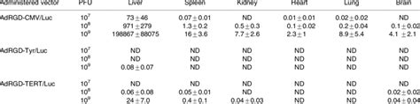 Luciferase Activity In Major Organs From Mice Injected Intravenously