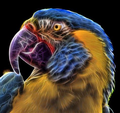 Solve Fractal Parrot Jigsaw Puzzle Online With 72 Pieces Solve Fractal Parrot Jigsaw Puzzle Online With 72 Pieces