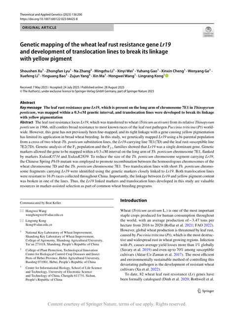 Genetic Mapping Of The Wheat Leaf Rust Resistance Gene Lr19 And Development Of Translocation