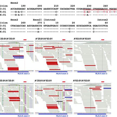 Pdf Comparison Of Exome Based Hla Class I Genotyping Tools Identification Of Platform