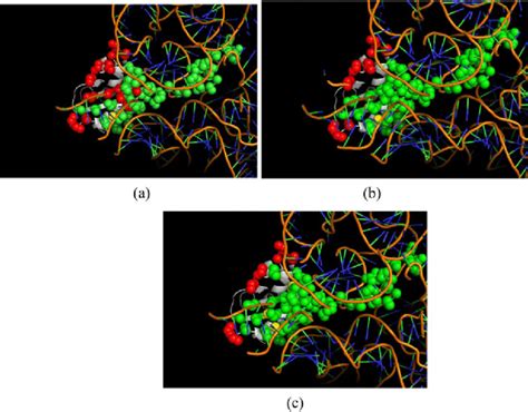 C Shows The Result By The Combination Of The Feature Based Predictor