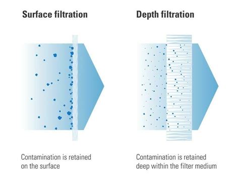 Centrifugation Vs Depth Filtration At Rita Shedd Blog