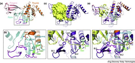 Crystal Structures Of Usp7 Catalytic Domain In The Inactive Pdb Id Download Scientific Diagram