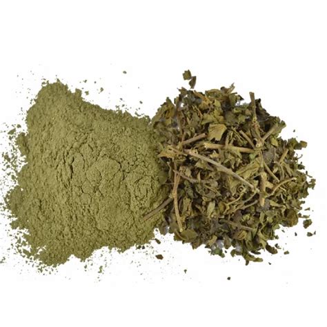 Gymnema Sylvestre Extract Powder Packaging Type Loose At Rs 1000kg