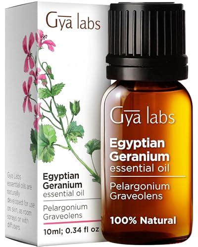 13 Amazing Geranium Essential Oil Organic For 2023 Citizenside