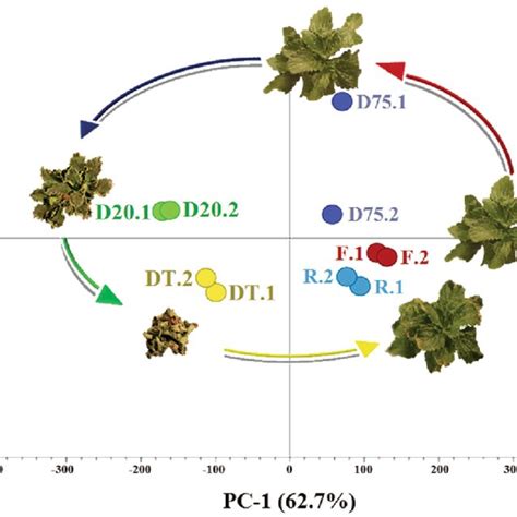 Principal Component Analysis Pca Of Transcriptomic Sequencing Data Download Scientific