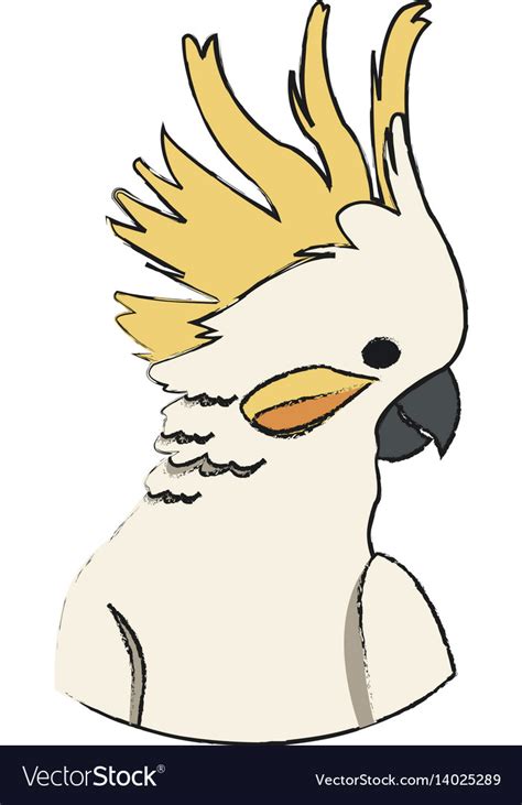 Cockatoo Bird Icon Royalty Free Vector Image Vectorstock