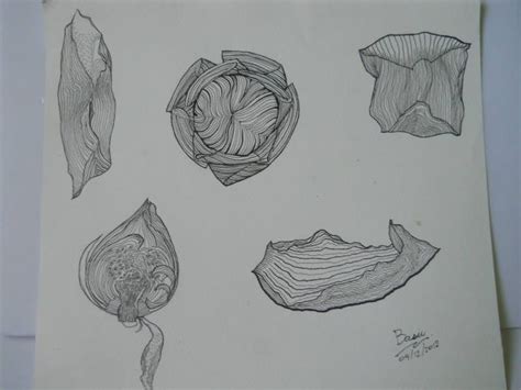 By Basic Sketches Humanoid Sketch Art