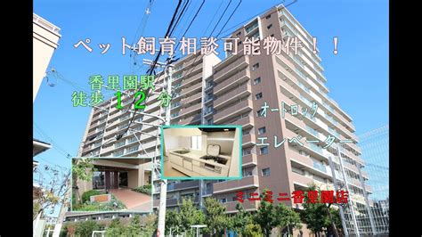 【ペット相談物件】人気のカウンターキッチン仕様♪香里園駅に徒歩12分 エステムコート香里園 Youtube