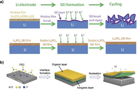 A Schematic Diagrams Of The Lma And The Dendrite Growth And The