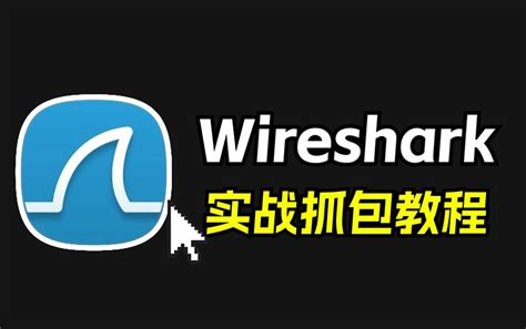【实战教程】150分钟教你使用wireshark抓包（有干货） 小户编程 计算机网络 哔哩哔哩视频