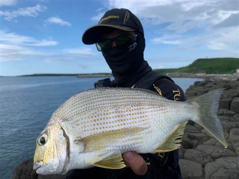 釣魚日常 好幾個月沒見漁人結師傅了 得知師傅在澎湖爆釣龍占我哪受得了