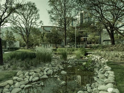 Parque Arboleda SPACK