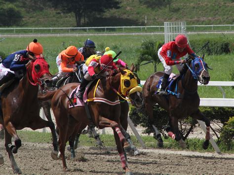 Resultados de La Rinconada Líder en deportes