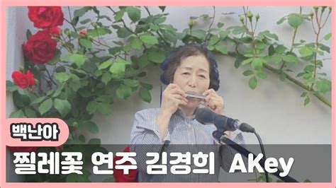 찔레꽃 백난아 연주 김경희 하모니카연주 YouTube