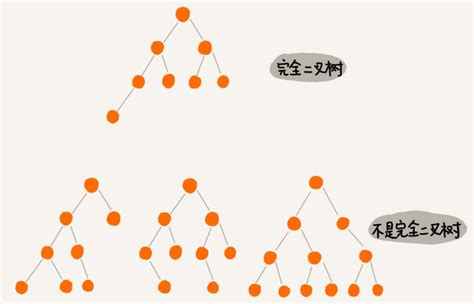 七、基本数据结构（树形结构） 走看看