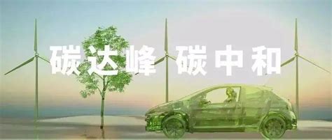环保资讯 王金南 蔡博峰统筹有序系统科学推进碳达峰碳中和有的放矢 发展 我国 生态