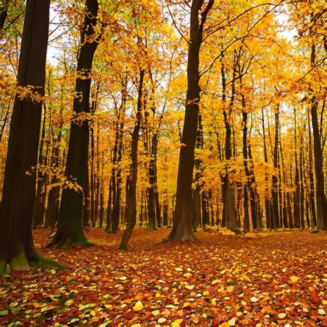 Premium Ai Image Autumn Forest