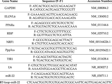 All Primers Used In This Study Download Scientific Diagram