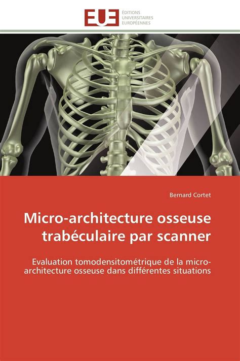 Buy Micro architecture osseuse trabéculaire par scanner Evaluation