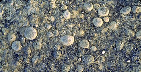 Volcanic Accretionary Lapilli From Oahu Hi Photo U S Geological