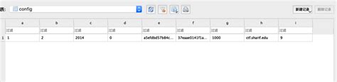 2014 sharif university quals ctf commercial application